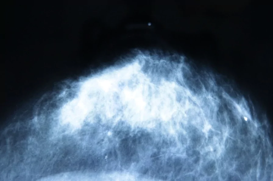 Michelle Dizon: Drifting Islands - Oakland Museum of California (OMCA)