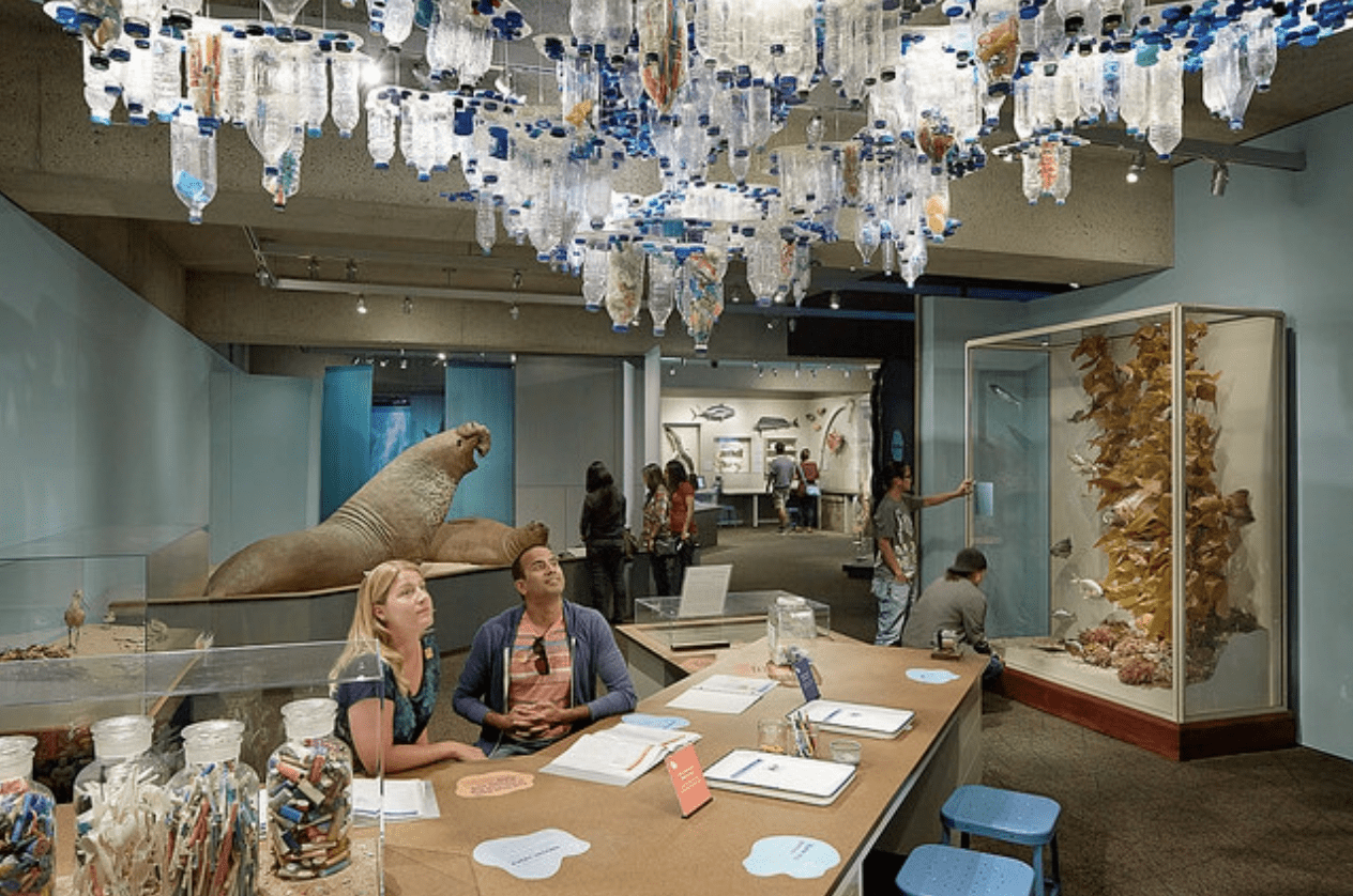 How Our Community Changed Our Museum: Transforming the Gallery of ...