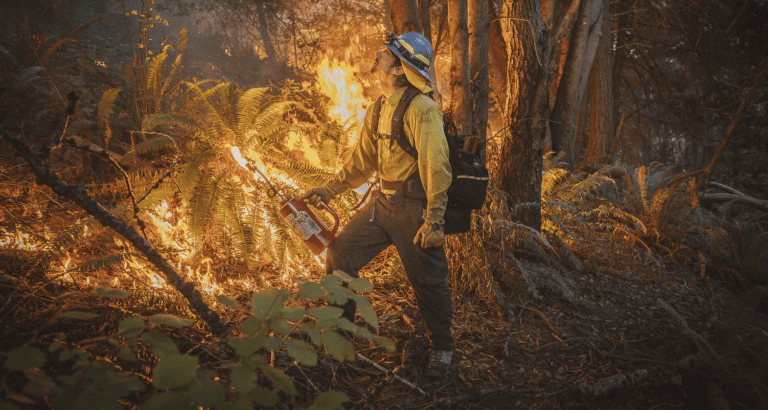 Good Fire: Tending Native Lands— Now Open at OMCA! - Oakland Museum of ...